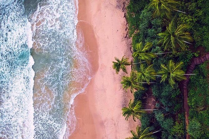 Paradise Sri Lanka (10N /11 D) - A Practical Overview: What Does the Tour Offer?