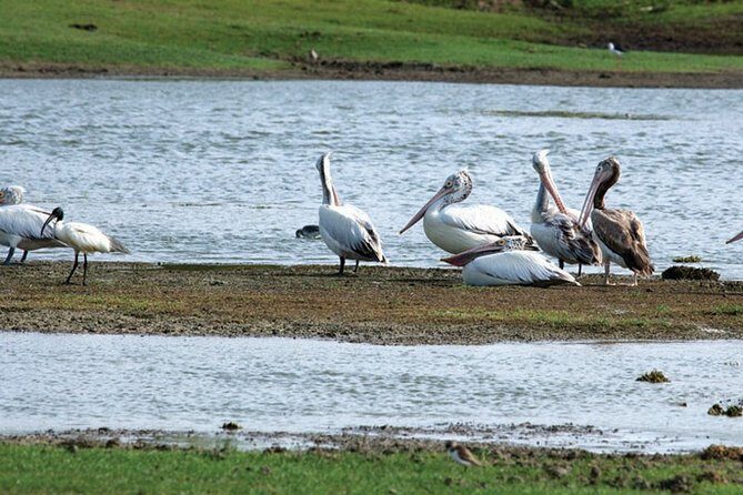 Paradise Sri Lanka (10N /11 D) - Day-by-Day Breakdown of the Journey