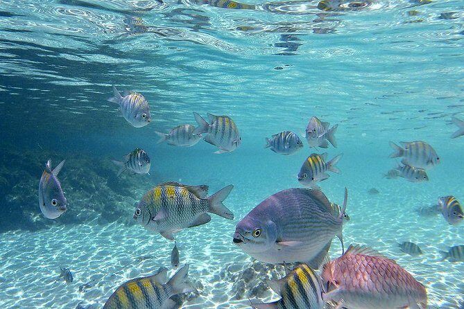 Paradise Taxi & Tours USVI-St Thomas- Airport Transfer Sapphire / Crystal Cove - Why Choose Paradise Taxi & Tours?