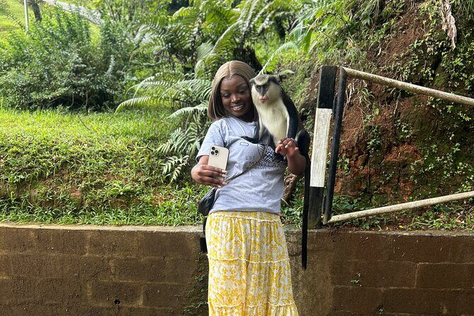 Paradise Unveiled Full Day Island Escape - An In-Depth Look at the Tour Experience