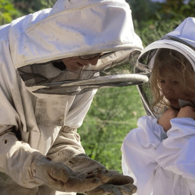Paradise Valley: Bee Adventure Tour! - What to Expect from the Tour