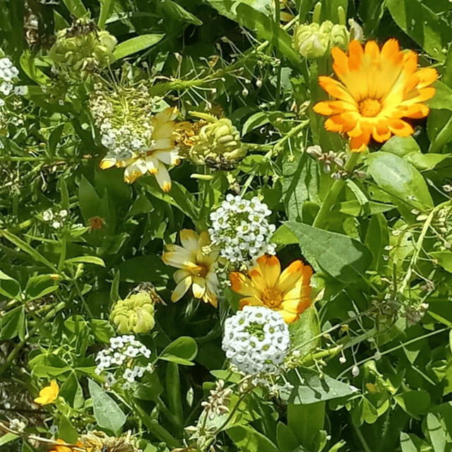 Paradise Valley: Bee Adventure Tour! - Authenticity & Family-Friendliness