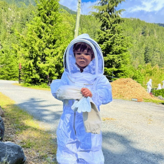 Paradise Valley: Bee Adventure Tour! - The Sum Up