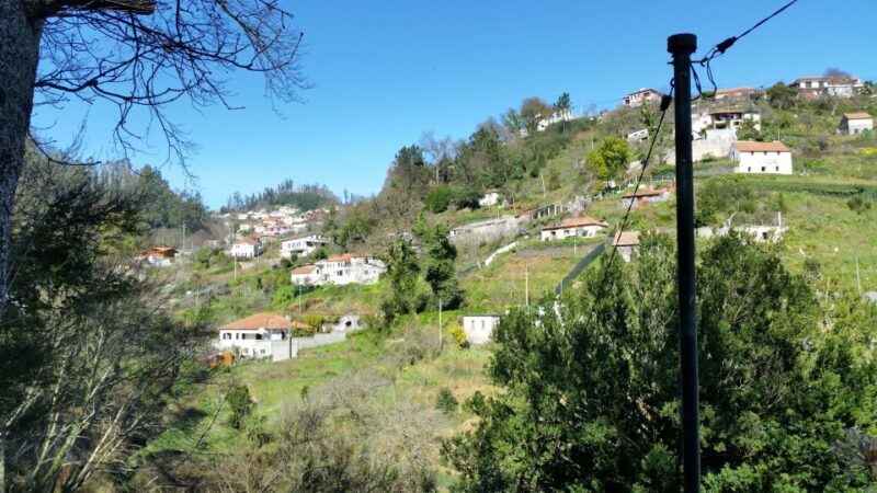 Paradise Valley half-day morning walk. - An Introduction to Your Guided Walk