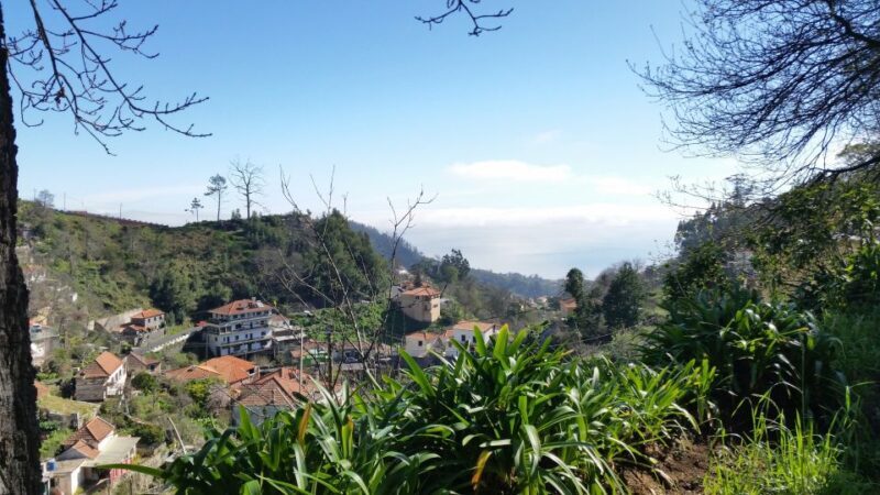 Paradise Valley half-day morning walk. - What to Expect from the Tour