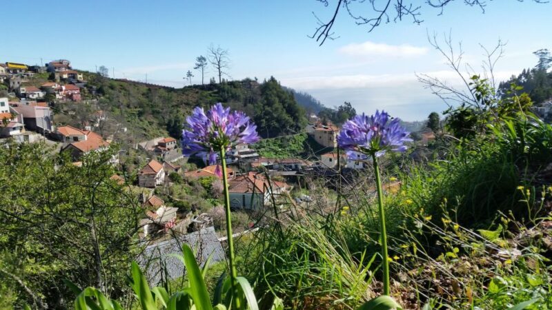 Paradise Valley half-day morning walk. - The Walking Experience