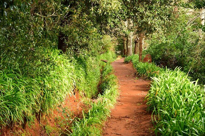 Paradise Valley Madeira Island Walk - Key Points