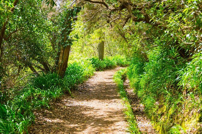 Paradise Valley Madeira Island Walk - What to Expect on the Tour