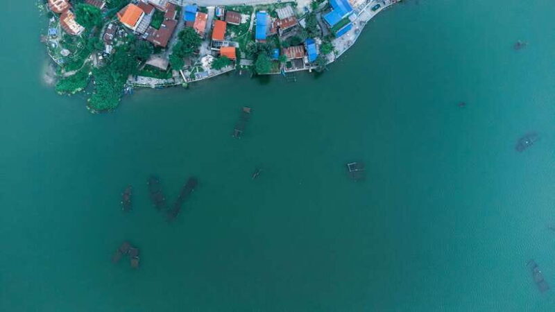 Paragliding in Pokhara: Ultimate Aerial Adventure Awaits - Who This Experience Fits Best