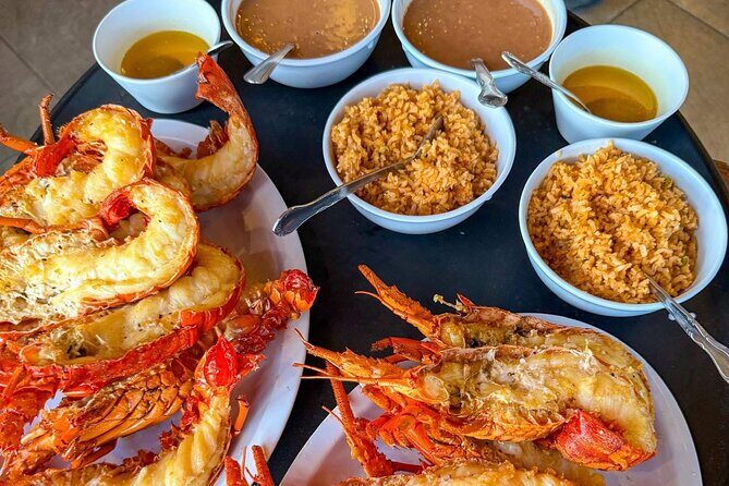 Paragliding Rosarito & Puerto Nuevo Lobster - Authentic Feedback from Travelers