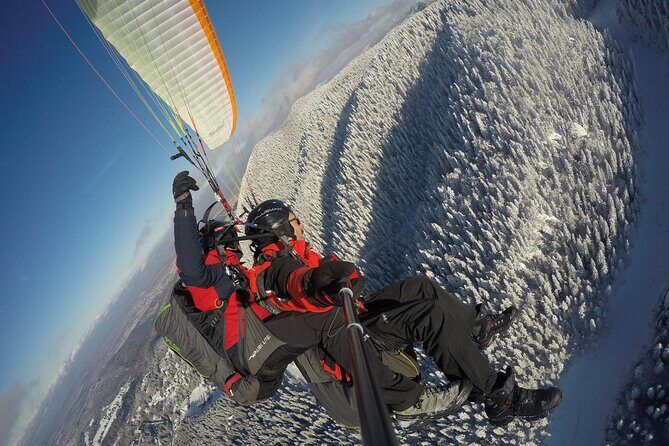 Paragliding Tandem Flight from Bunloc, Brasov - Authentic Insights from Reviews