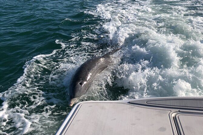 Parasailing Adventure in Anna Maria Island - Key Points