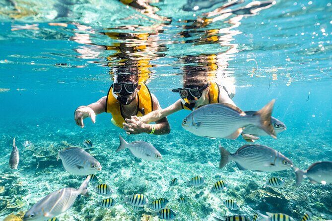 Parasailingcancun and Jet Ski tour over Cancun Bay - What the Reviews Say