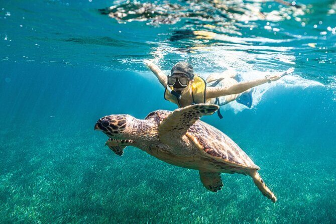 Parasailingcancun and Jet Ski tour over Cancun Bay - Who Will Love This Tour?