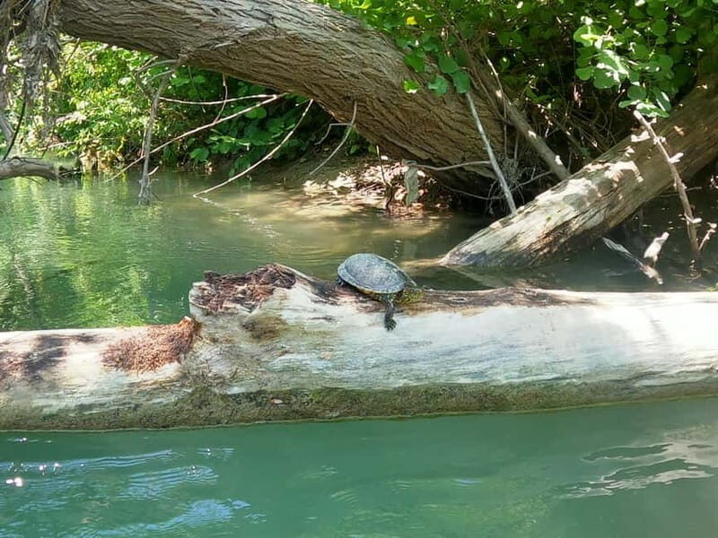 Parga: Kayaking Adventure in the Acheron River 13 km - Key Points