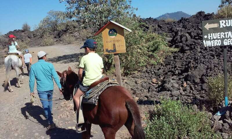 Paricutin Volcano Crater Special Tour - An Introduction to the Experience