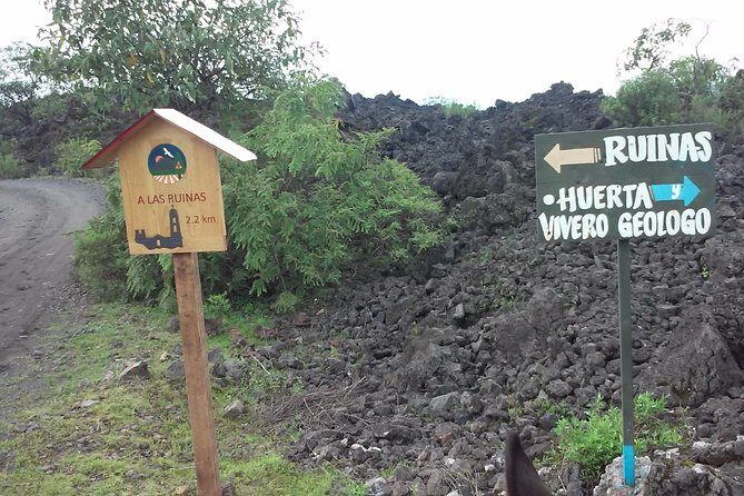 Paricutin Volcano Tour (Morelia) - Sources