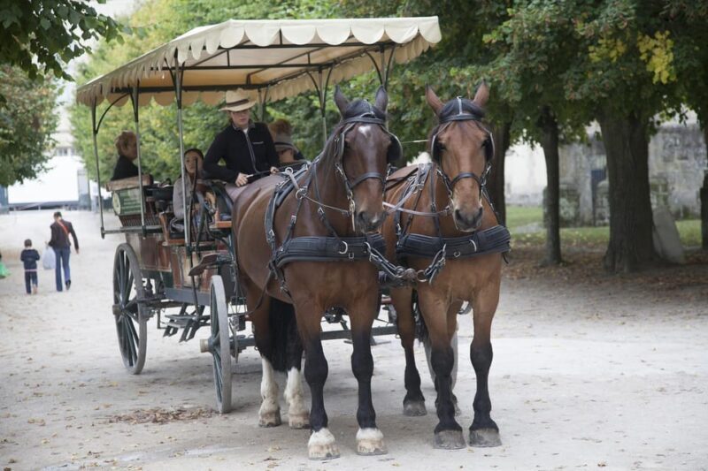 Paris: 10H Private Tour for Arc de Triomphe, Versailles - Detailed Breakdown of the Itinerary