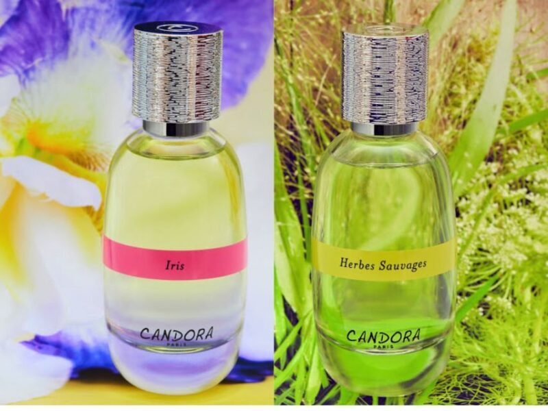 Paris: 2-Hour Perfume Creation Workshop - Introduction: Perfume Making in Paris — A Scent-sational Experience