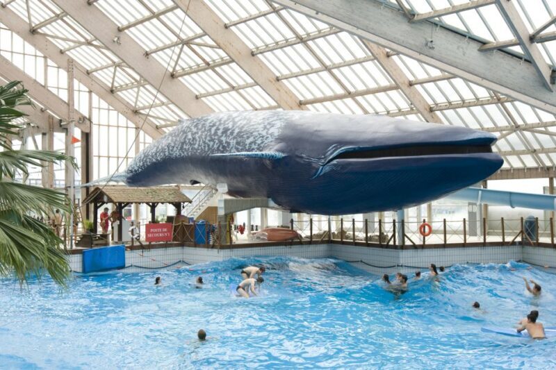 Paris: Aquaboulevard Water Park Entrance Ticket - Introduction