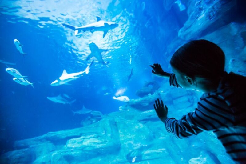 Paris: Aquarium de Paris Entrance Ticket - Key Points