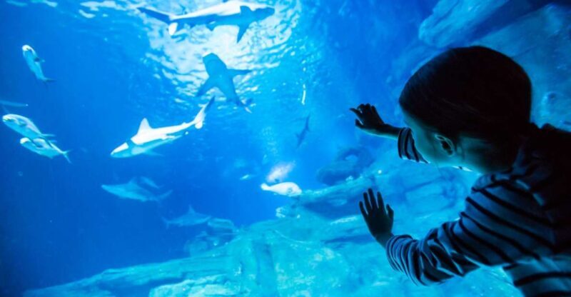 Paris: Aquarium de Paris Entrance Ticket - Authentic Experiences from Visitors