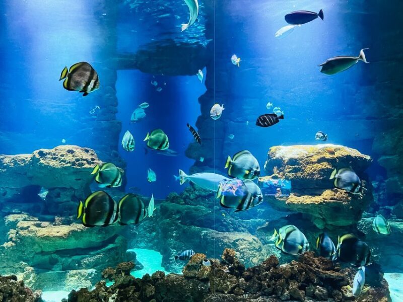 Paris: Aquarium de Paris Entrance Ticket - The Sum Up