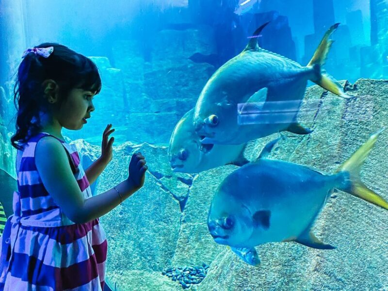 Paris: Aquarium de Paris Entrance Ticket - FAQs