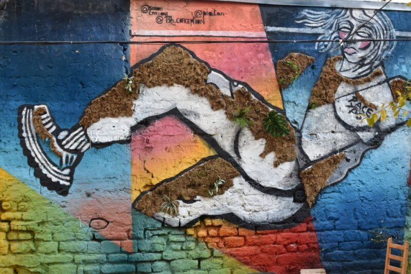 Paris: Belleville Street Art Tour with an Artist - The Practical Side: What To Expect