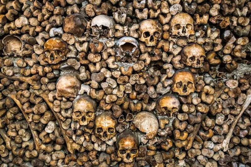 Paris: Catacombs Guided Tour - Real Experiences from Travelers