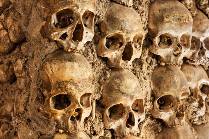 Paris: Catacombs Ticket and Seine River Cruise - Key Points