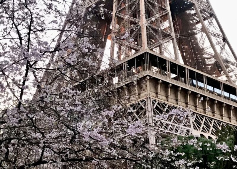 Paris: Eiffel Tower Guided Tour with Summit Access - Frequently Asked Questions (FAQs)