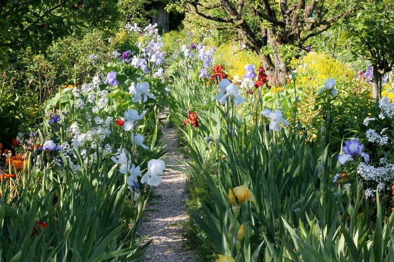 Paris: Giverny Gardens Day Trip with Professional Tour Guide - Key Points