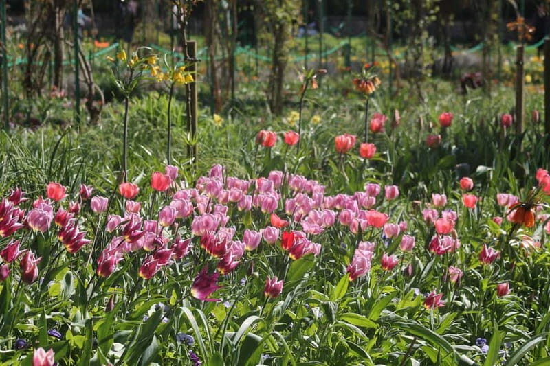 Paris: Giverny Gardens Day Trip with Professional Tour Guide - The Sum Up