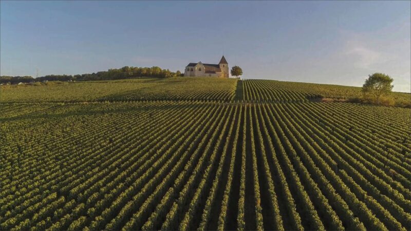 Paris: Private Chauffeur-Driven Champagne Region Day Trip - Key Points