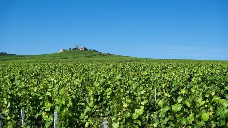 Paris: Private Chauffeur-Driven Champagne Region Day Trip - Transportation, Timing, and Practical Details