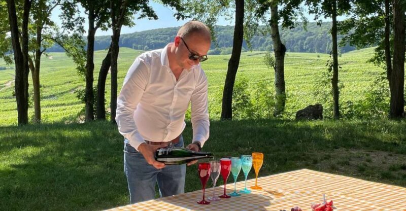 Paris: Private Epernay Trip with Champagne Vineyard Tastings - Price & Overall Value