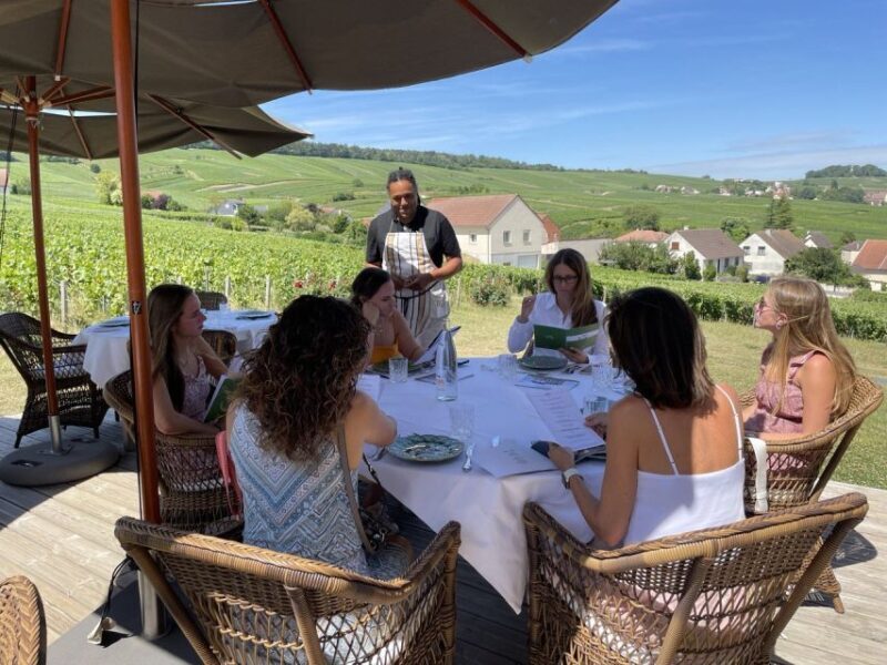 Paris: Private Epernay Trip with Champagne Vineyard Tastings - Who Is This Tour Best For?