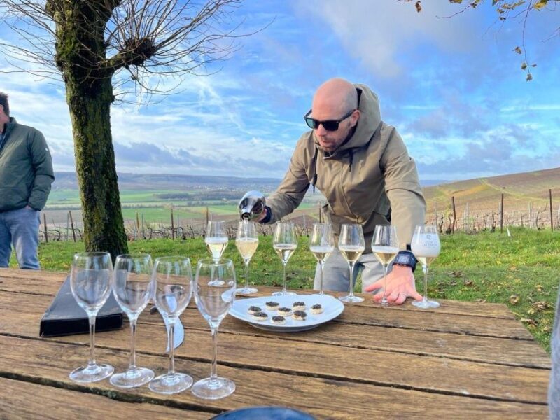 Paris: Private Epernay Trip with Champagne Vineyard Tastings - Final Thoughts