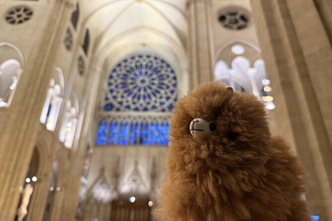 Paris Private Guided Walking Tour with Notre-Dame Outdoor - What’s Included and What’s Not