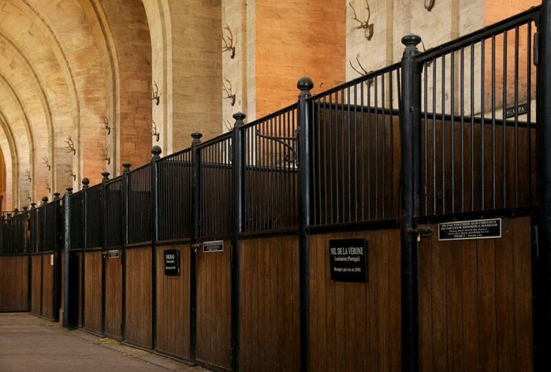 Paris: Private Tour of Domaine de Chantilly Ticket&Transfer - Pricing and Value