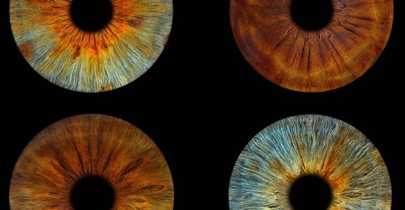 Paris: Professional Iris Photography with a Framed Print - Practical Considerations