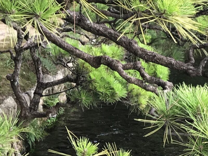 Paris Secret Gardens 1.30 hour long Walking Tour - Who Should Consider This Tour?