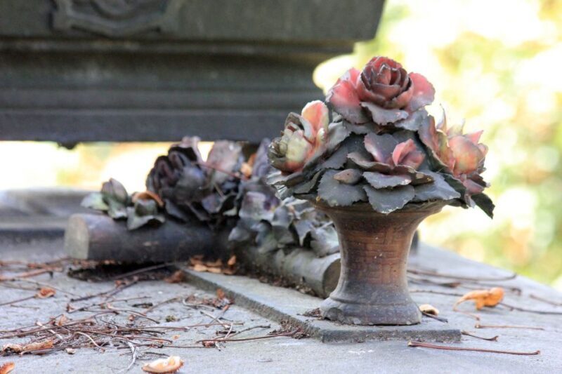 Paris: Stories of Père Lachaise Cemetery Walking Tour - The Value of the Experience