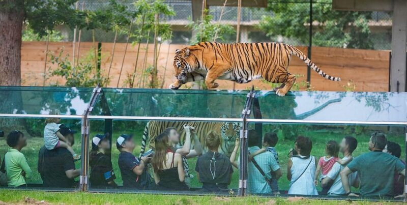 Paris: Thoiry Castle and Safari Park Private Tour - The Practicalities