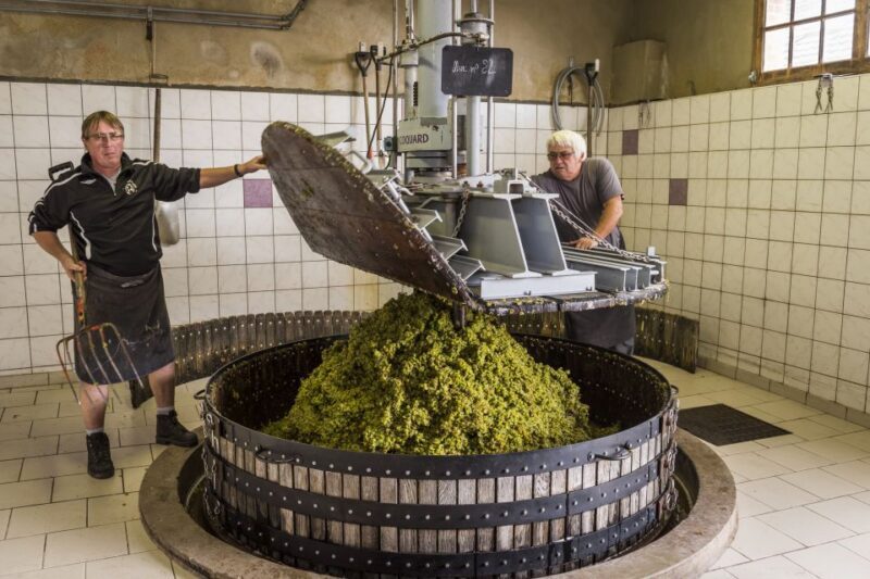 Paris: Two Reims Champagne Vineyards with Tastings and Lunch - Authentic Experiences and Practical Tips
