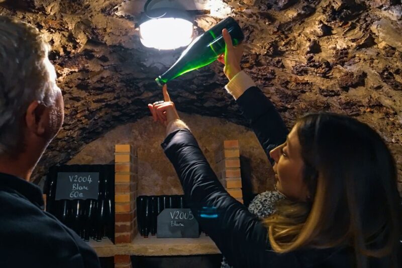 Paris: Two Reims Champagne Vineyards with Tastings and Lunch - Who Will Enjoy This Tour?
