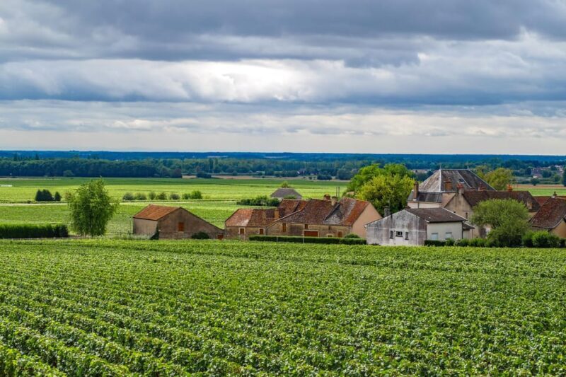 Paris VIP: Burgundy Wine Region Chauffeur Driven Tour 14 hrs - Key Points