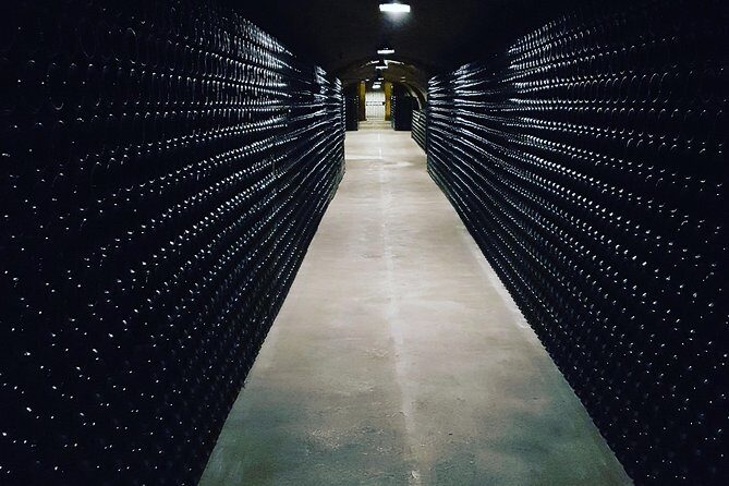 Paris Wine Day Tours exclusive Champagne tour incl. 3 visits - Practical Considerations