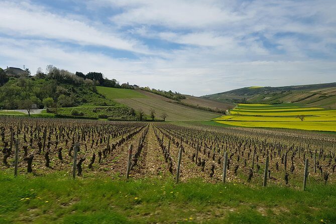 Paris Wine Day Tours exclusive wine tour in the Sancerre area - A Full Day of Wine and Cheese in the Loire Valley: An Honest Look at the Sancerre Tour